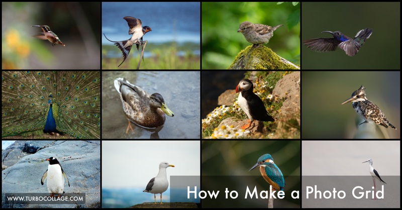 How To Make A Photo Grid Collage TurboCollage